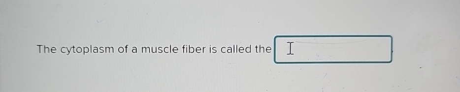 Solved The cytoplasm of a muscle fiber is called the | Chegg.com
