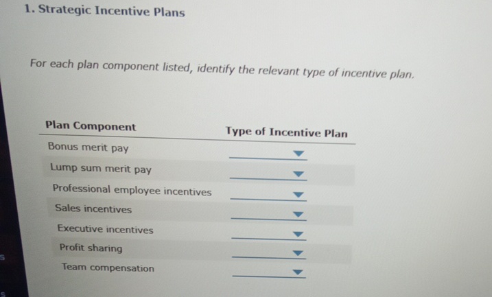 Solved Strategic Incentive PlansFor each plan component | Chegg.com