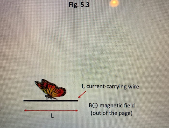 Solved A butterfly is perched on a horizontal length of | Chegg.com