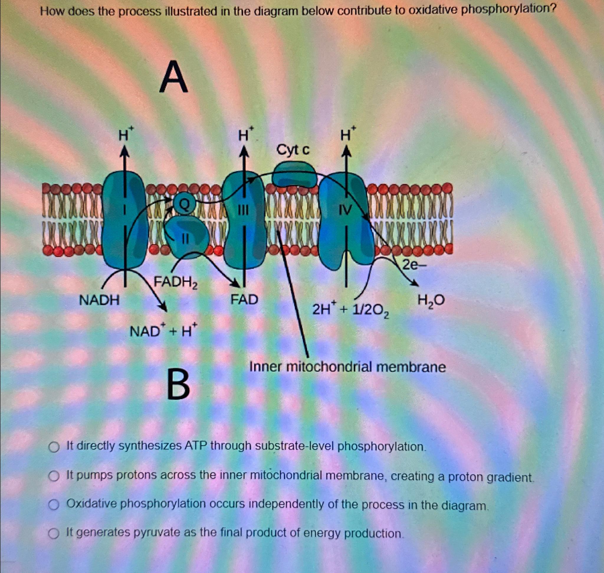Solved How does the process illustrated in the diagram below | Chegg.com