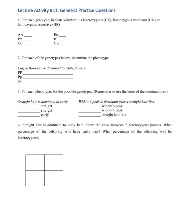 Solved Lecture Activity \#11: Genetics Practice Questions 1. | Chegg.com