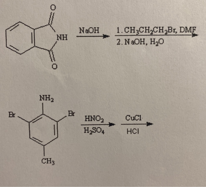 Solved NaOH NH 1.CH3CH2CH,B1, DMF 2. NaOH, H20 NH2 Br Bt | Chegg.com