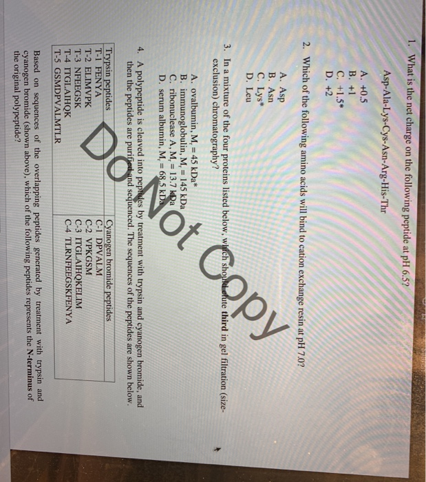 1. What is the net charge on the following peptide at | Chegg.com