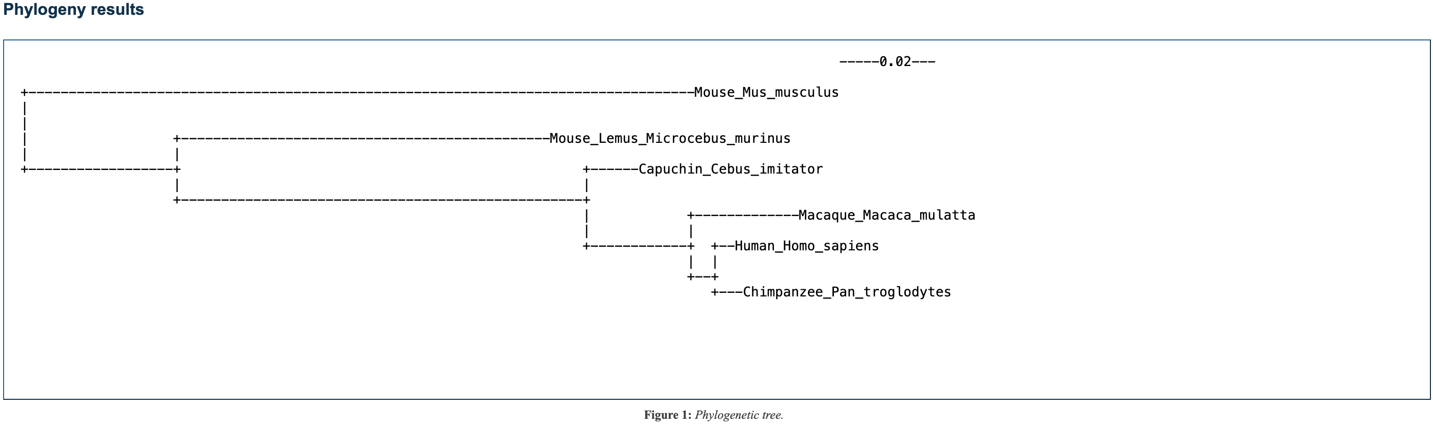 Solved Phylogeny resultsFigure 1: Phylogenetic tree. | Chegg.com