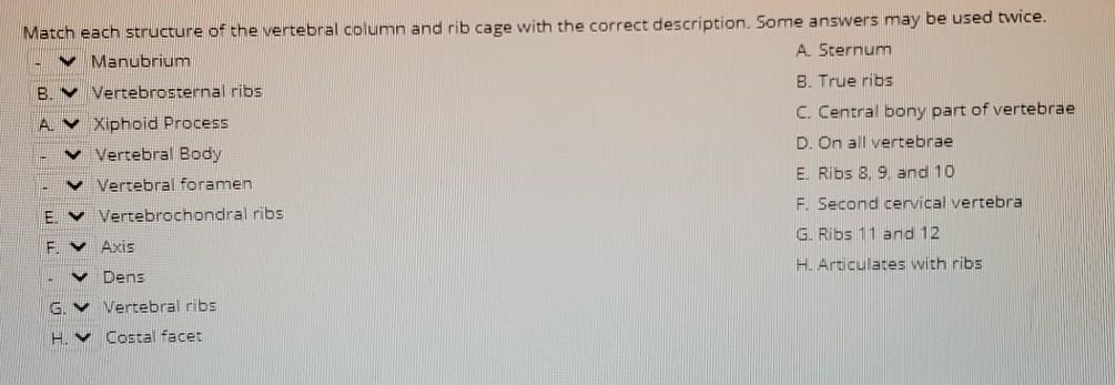 Solved Match each structure of the vertebral column and rib | Chegg.com