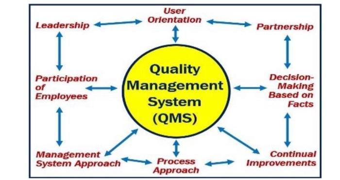Solved - Define Quality management system (QMS) in MIS.- | Chegg.com