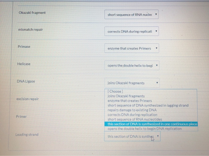 Solved Okazaki fragment short sequence of RNA nucler 7 | Chegg.com