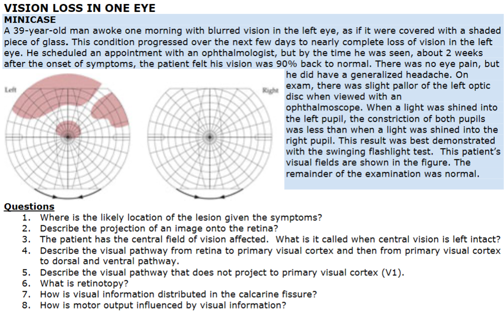 Solved VISION LOSS IN ONE EYEMINICASEA 39-year-old man awoke | Chegg.com