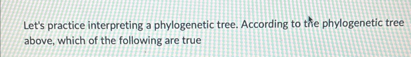 Solved Let's practice interpreting a phylogenetic tree. | Chegg.com