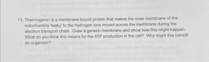 Solved 13. Thermogenin is a membrane bound protein that | Chegg.com