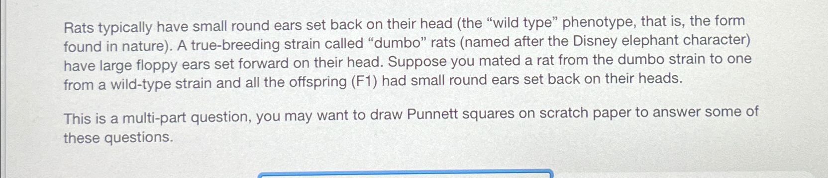 Solved Rats typically have small round ears set back on | Chegg.com