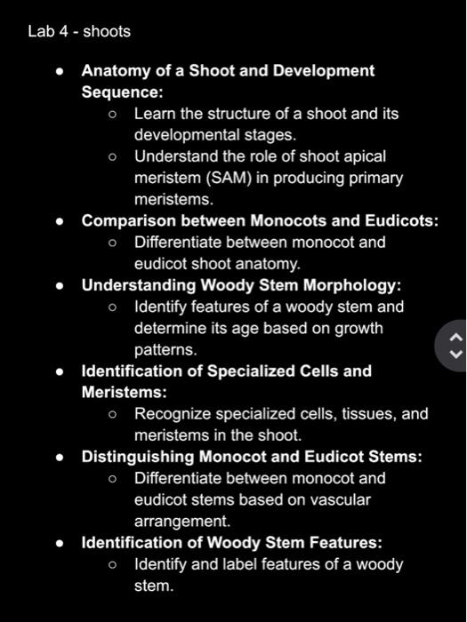 Solved Lab 4 - shoots - Anatomy of a Shoot and | Chegg.com