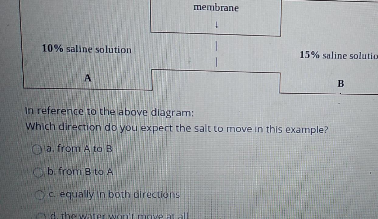 Solved (comprehension) Containers A and B are separated by a | Chegg.com