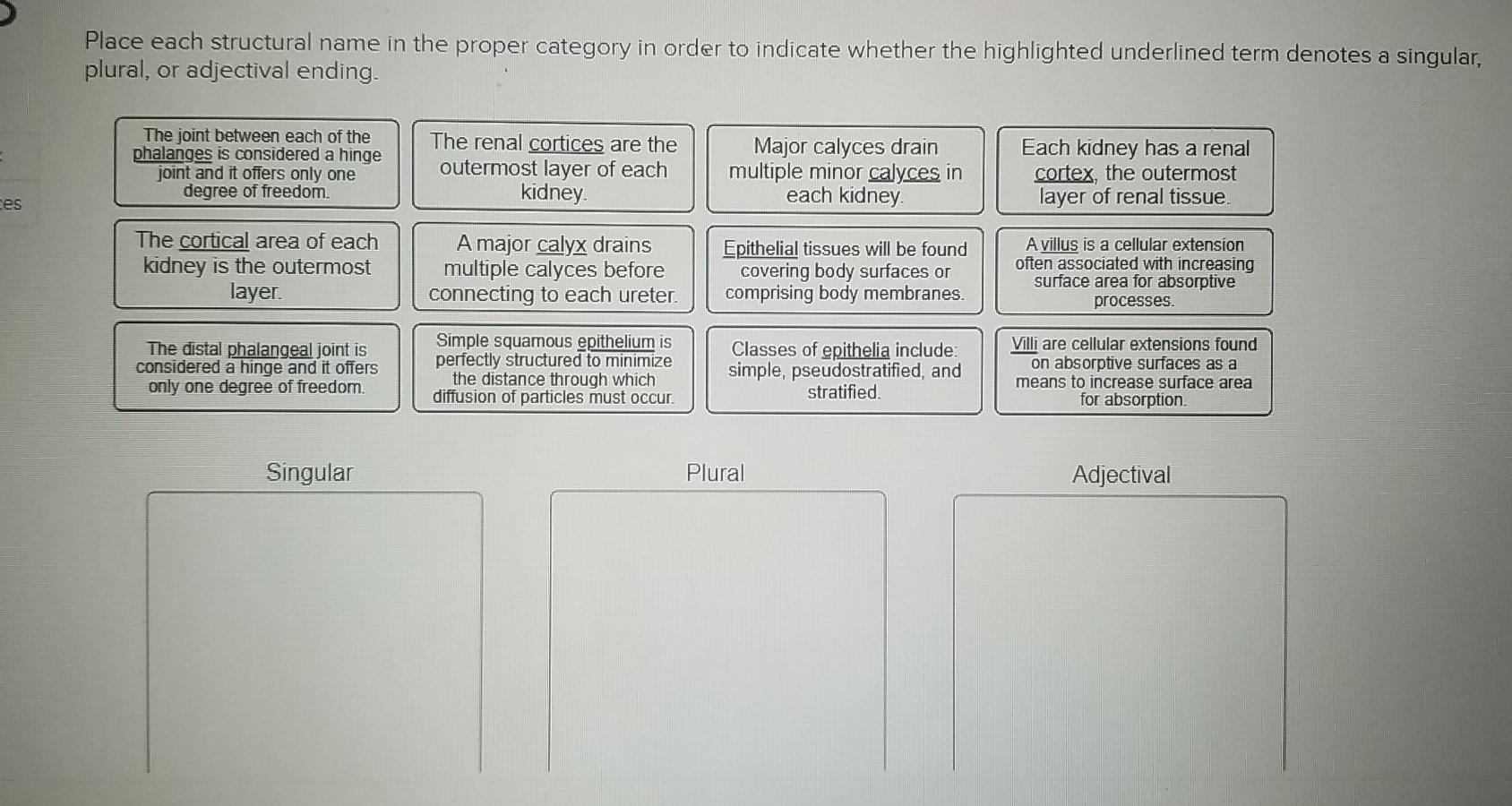 Solved Drag each label to the proper position to identify | Chegg.com