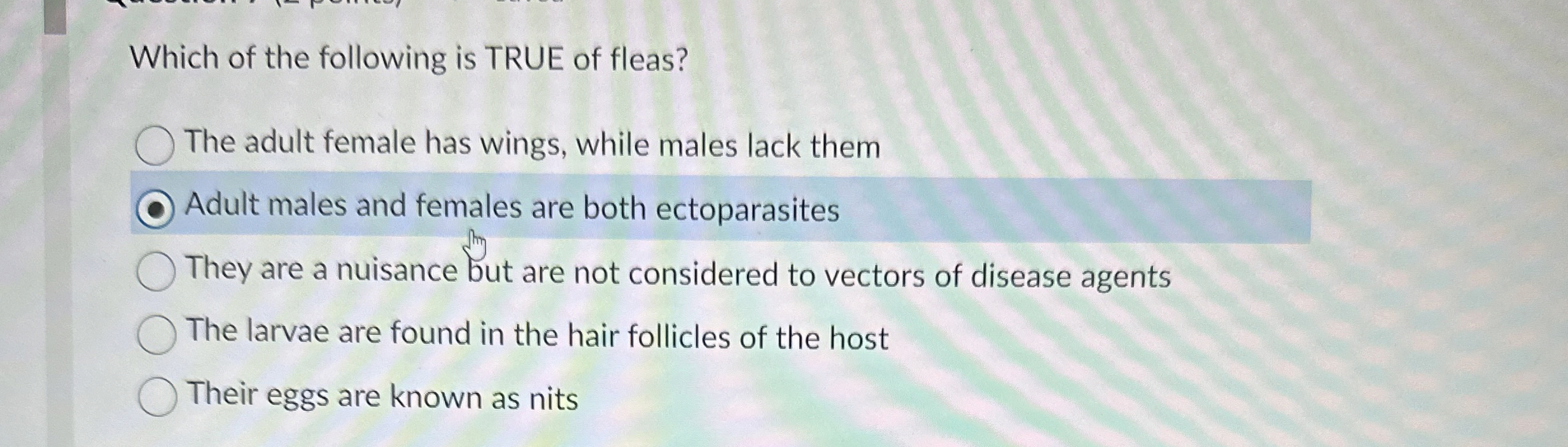 Solved Which of the following is TRUE of fleas?The adult | Chegg.com