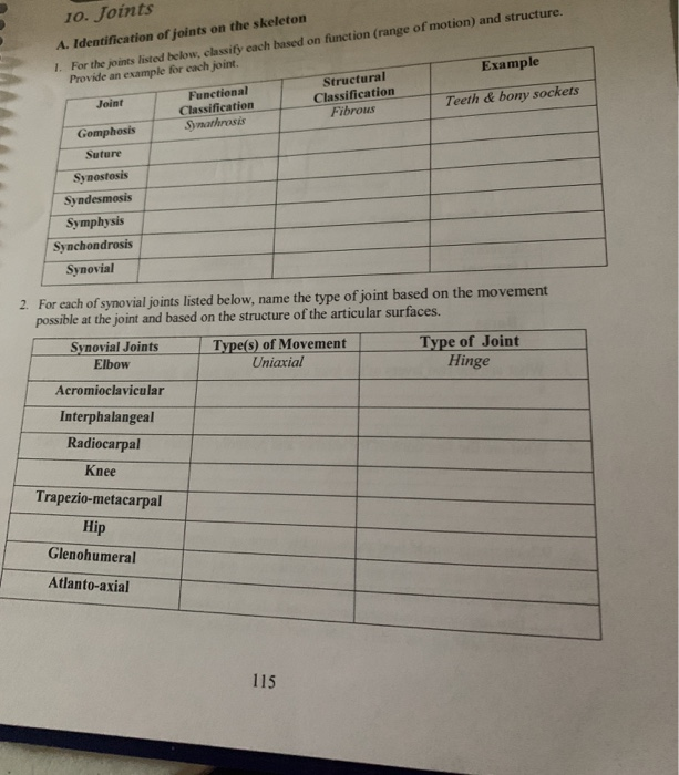 Solved 10. Joints A. Identification of joints on the | Chegg.com