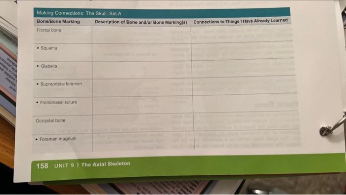 Solved Making Connections: The Skull, Set A Bone/Bone | Chegg.com