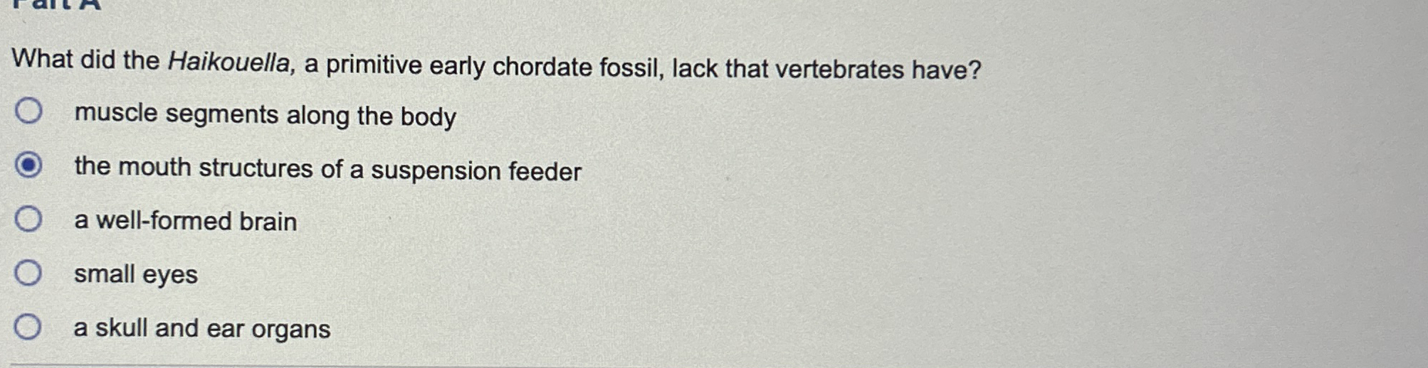 What did the Haikouella, a primitive early chordate | Chegg.com