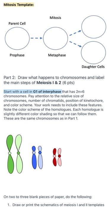 Solved Part 1: Draw what happens to chromosomes and label | Chegg.com