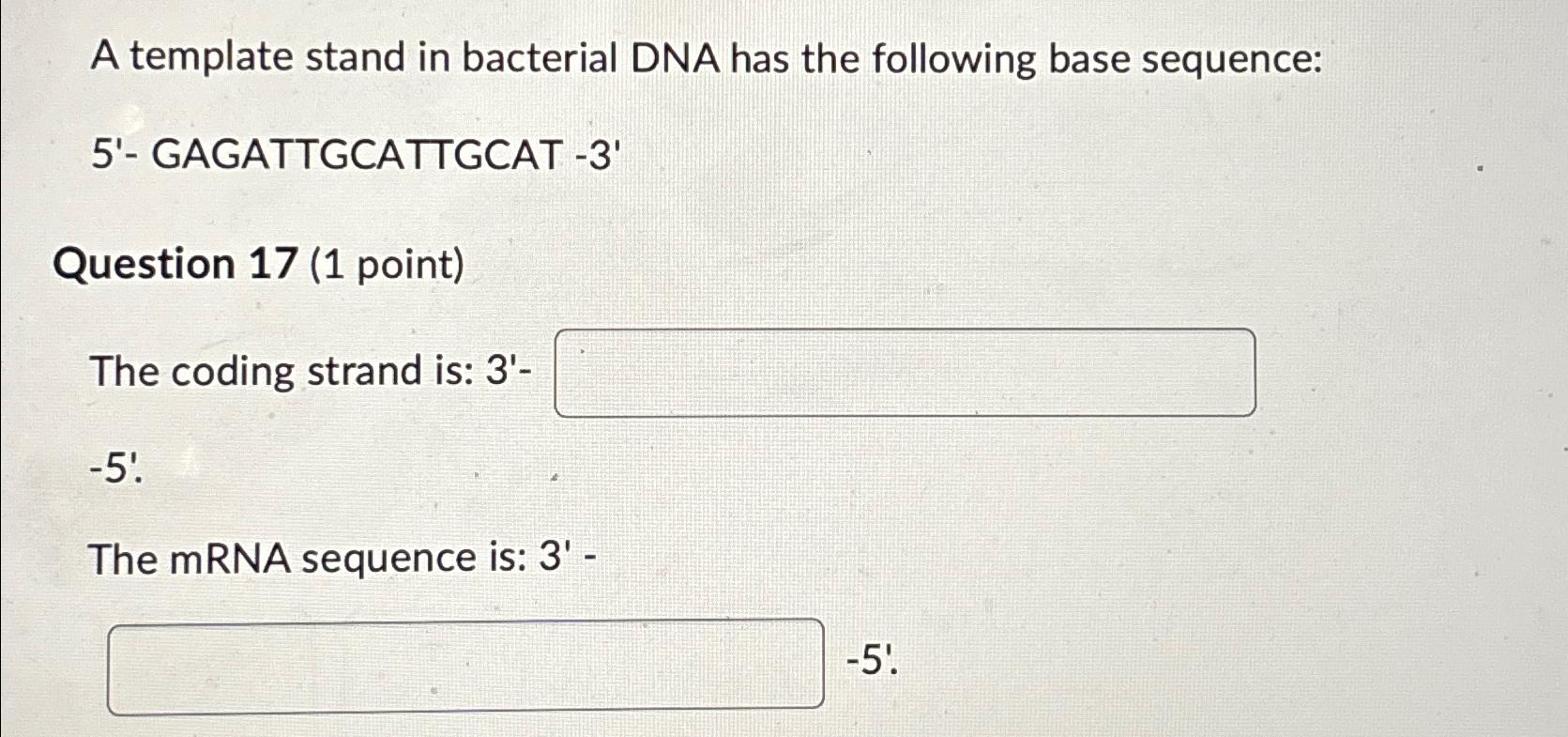 Solved A template stand in bacterial DNA has the following | Chegg.com