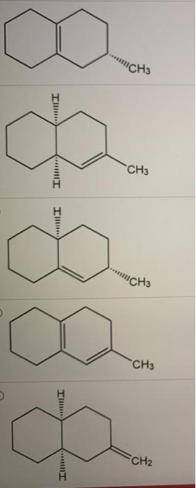 Solved What is the major expected elimination product of the | Chegg.com