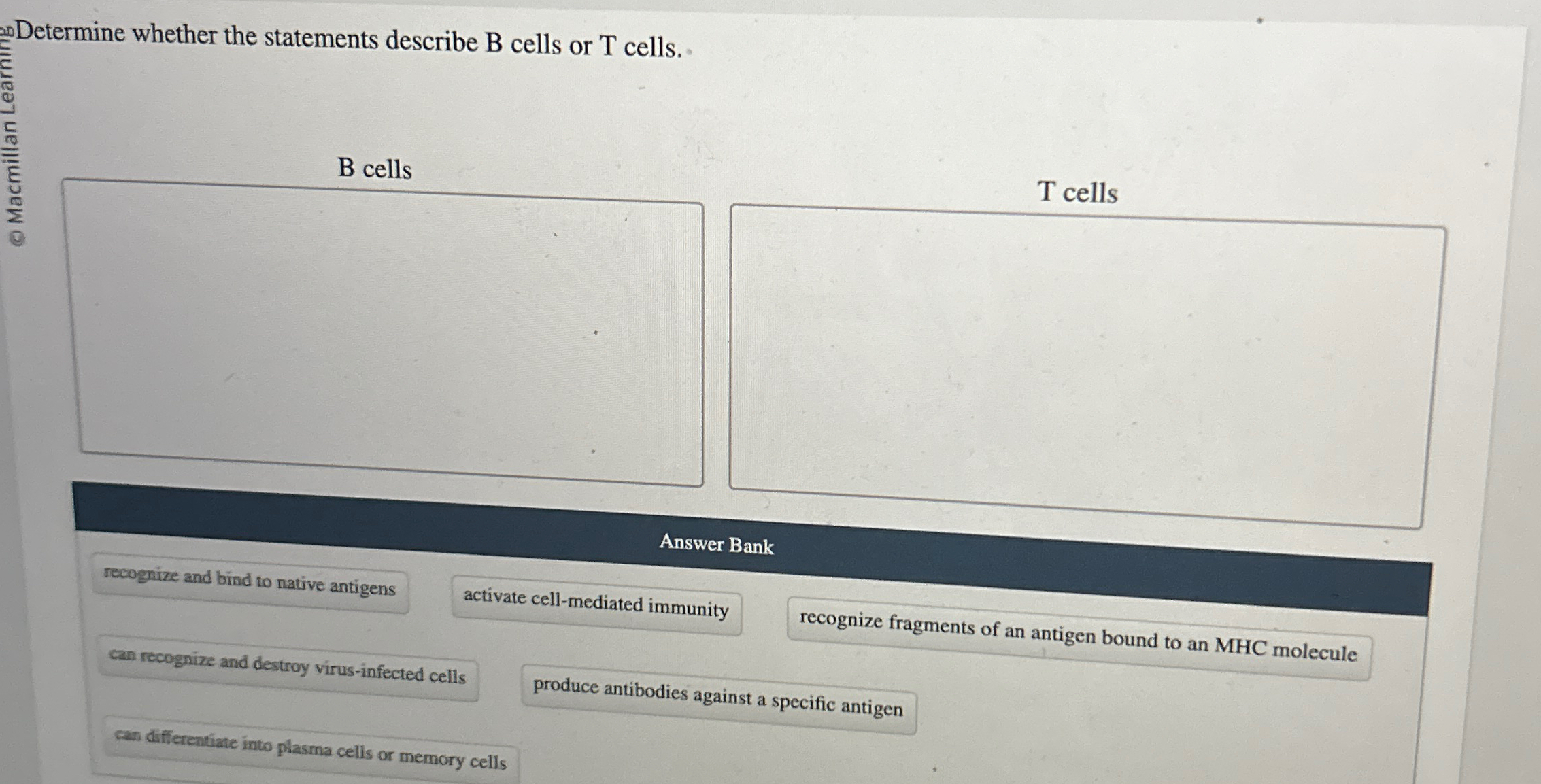 Solved Determine whether the statements describe B cells or | Chegg.com