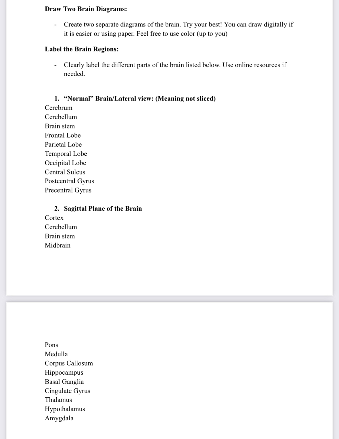 Solved Please draw TWO different diagrams of the Brain both | Chegg.com