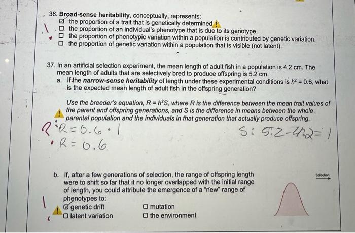 Solved 36. Broad-sense heritability, conceptually, | Chegg.com