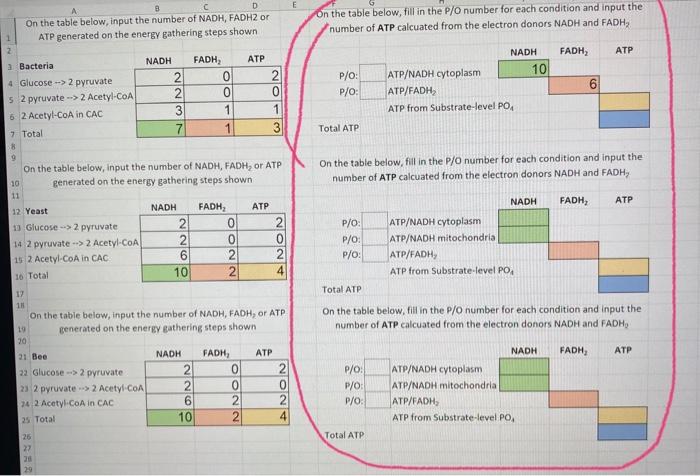 Solved On the table below, input the number of NADH, FADH2 | Chegg.com