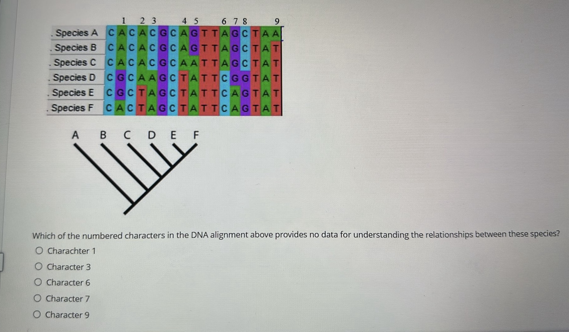 Solved Which Of The Numbered Characters In The Dna Alignment 