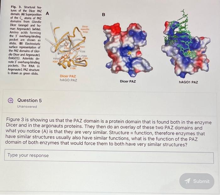 Fig. 1. Giardia encodes an active Dicer enzyme. (A) | Chegg.com