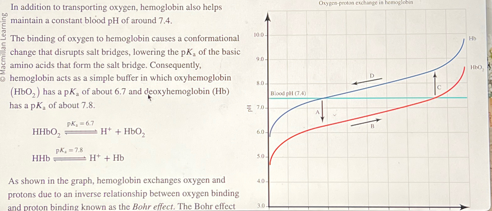 Solved In addition to transporting oxygen, hemoglobin also | Chegg.com