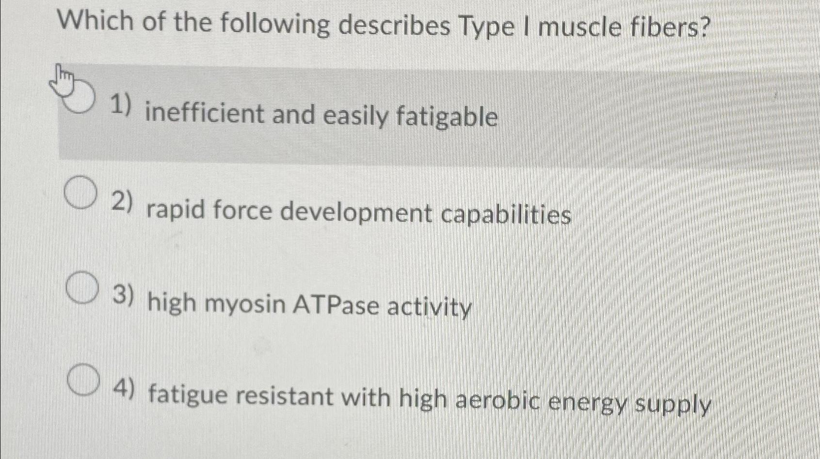 Solved Which of the following describes Type I muscle | Chegg.com