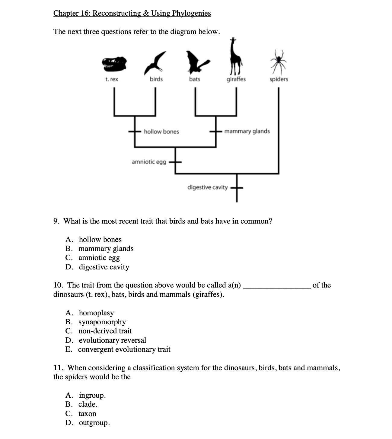 Solved Chapter 16: Reconstructing & Using PhylogeniesThe | Chegg.com