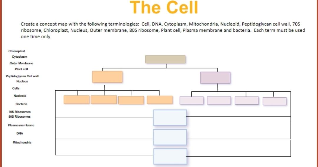 Solved Create a concept map with the following | Chegg.com