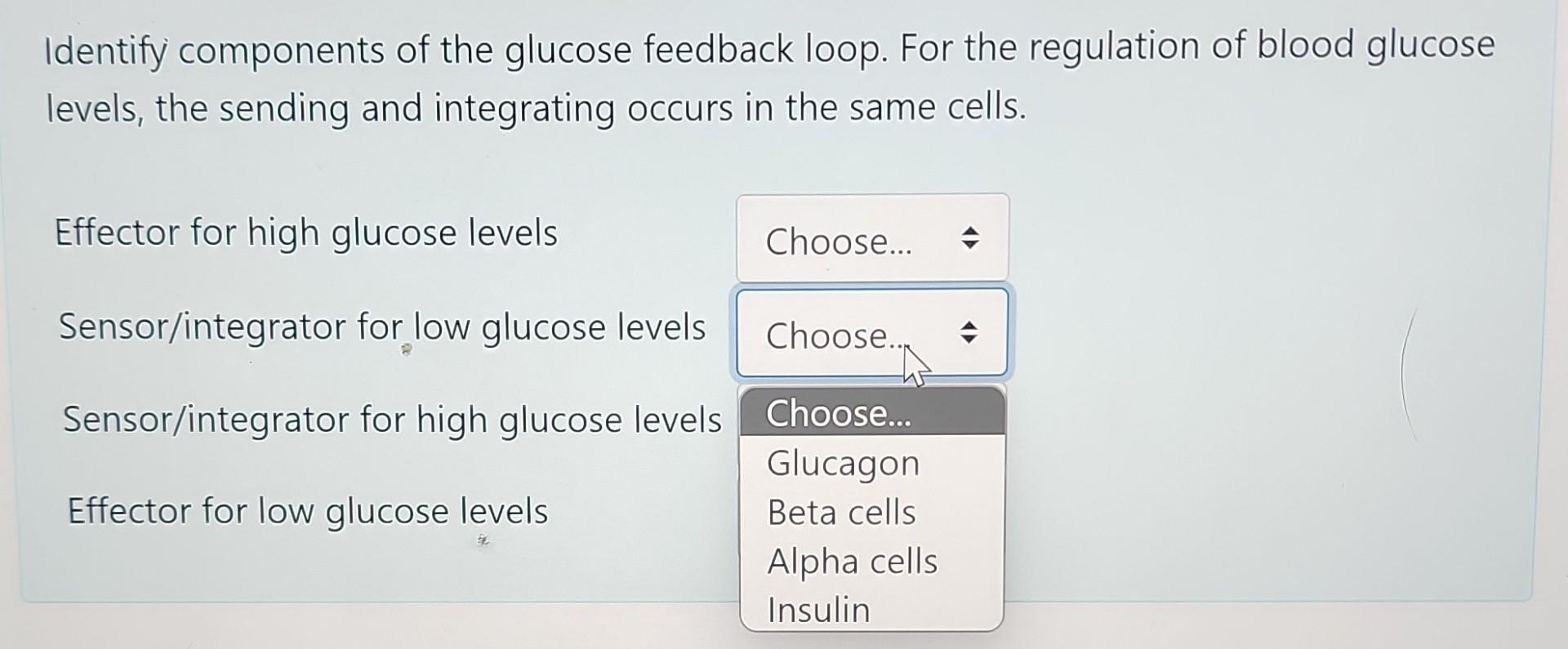 Solved Identify components of the glucose feedback loop. For | Chegg.com