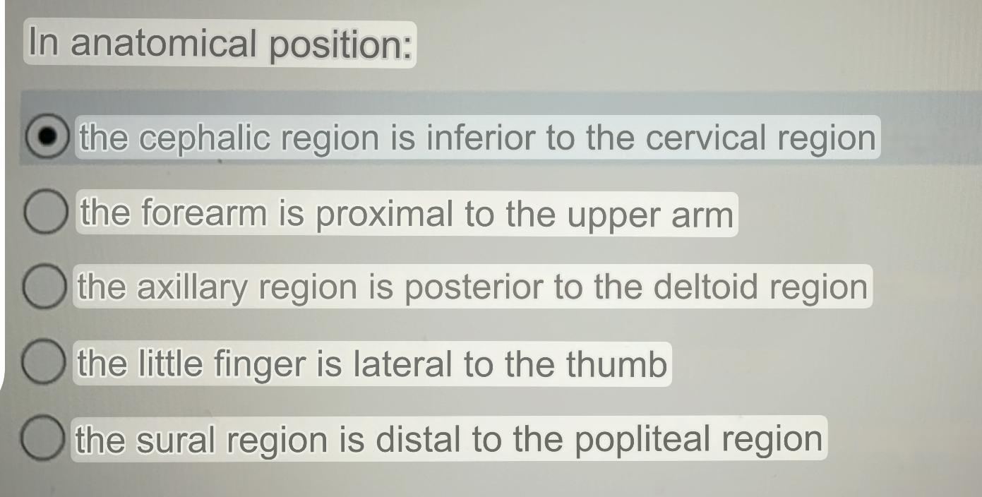 Solved In anatomical position:the cephalic region is | Chegg.com