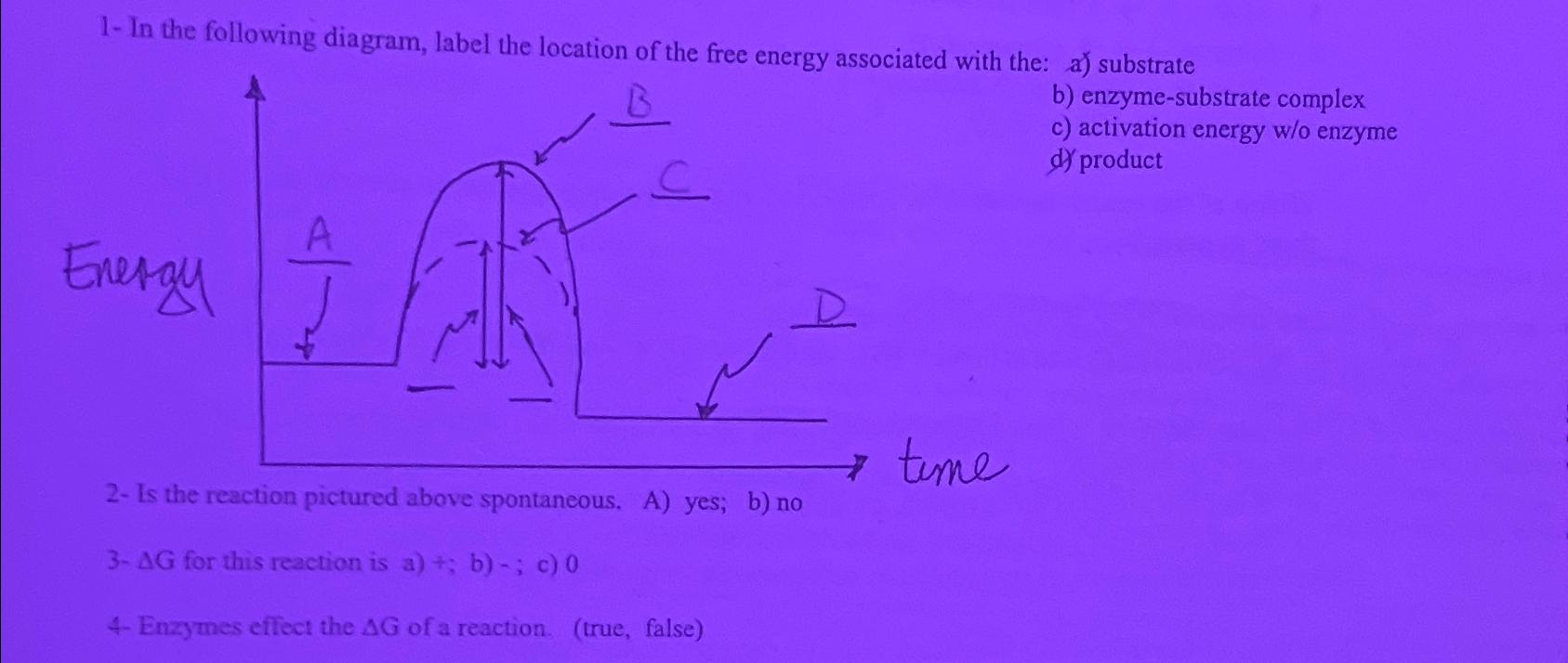Solved 1- ﻿In the following diagram, label the location of | Chegg.com