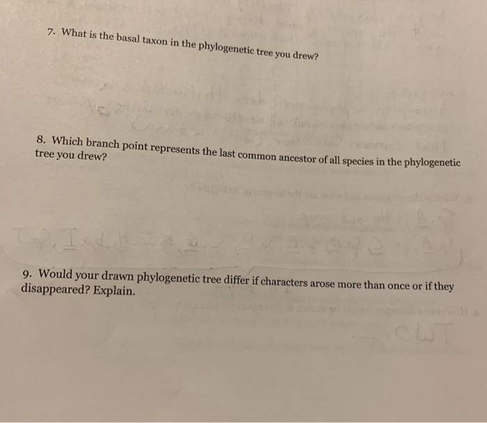Solved 7. What is the basal taxon in the phylogenetic tree | Chegg.com