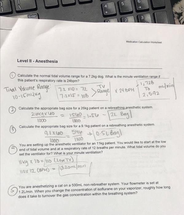 Solved 10 6 } U 5 1 Enter 3 w Medication Calculation | Chegg.com