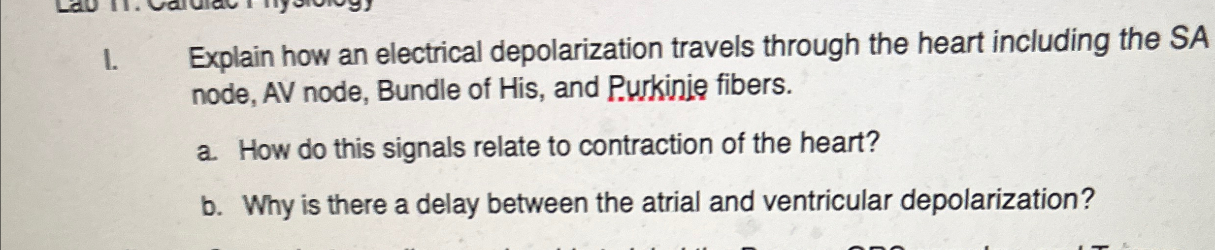 Solved Explain how an electrical depolarization travels | Chegg.com
