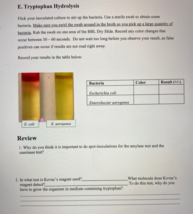 Solved E.Tryptophan Hydrolysis Each student: 1 tryptone | Chegg.com