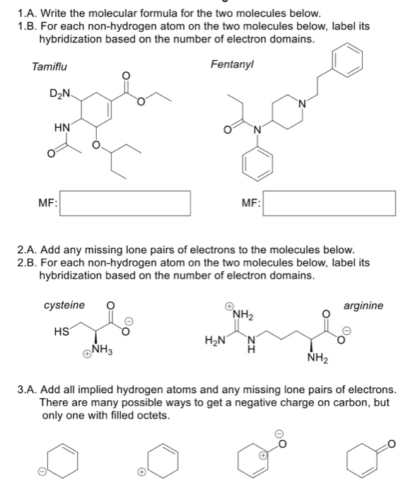 Solved 1.A. Write the molecular formula for the two | Chegg.com