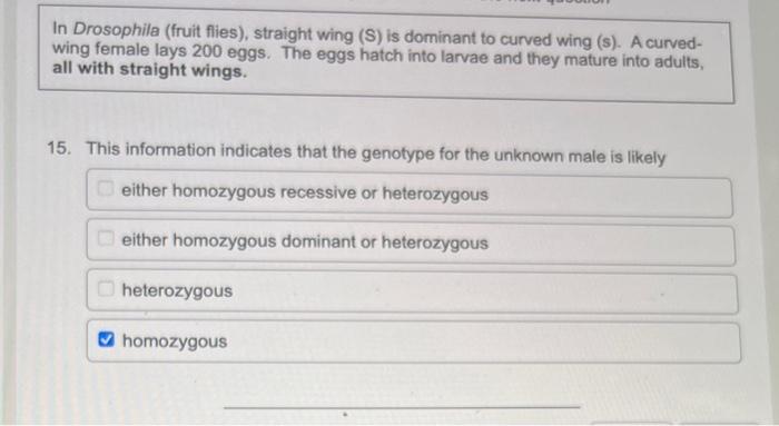 Solved In Drosophila (fruit flies), straight wing (S) is | Chegg.com