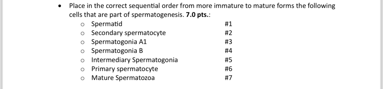 Solved Place in the correct sequential order from more | Chegg.com