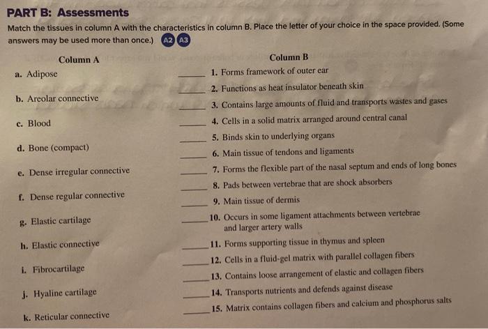 Solved PART B: Assessments Match the tissues in column A | Chegg.com