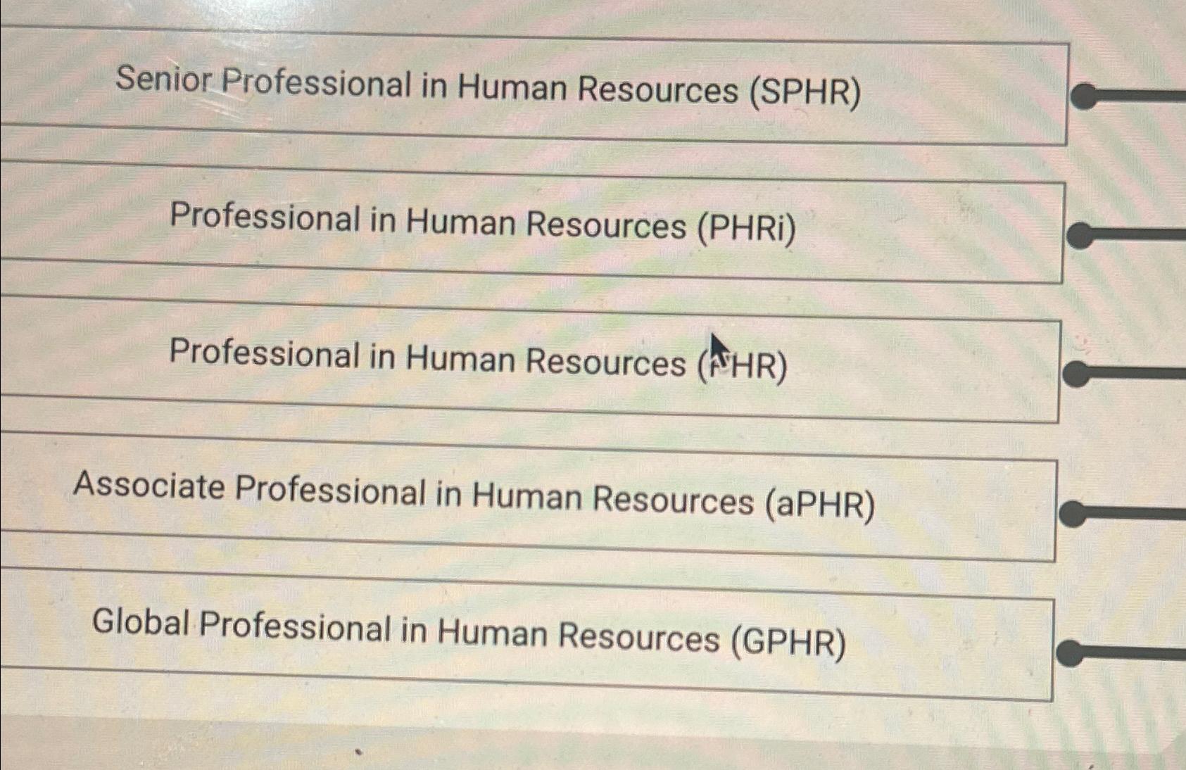 Solved Senior Professional in Human Resources | Chegg.com