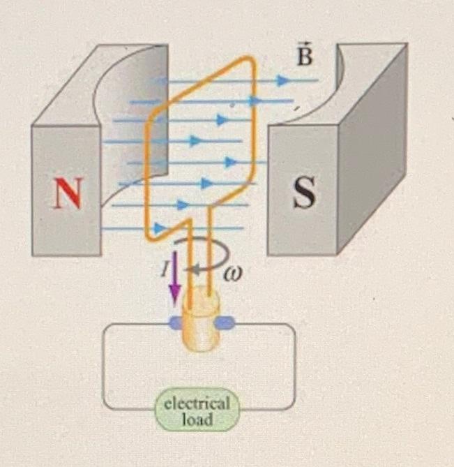 Solved A generator consists of a rotating loop of wire. The | Chegg.com