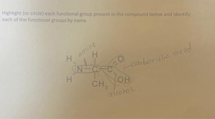 Solved Highlight (or circle) each functional group present | Chegg.com