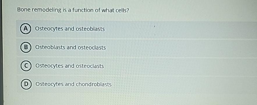 Solved Bone remodeling is a function of what | Chegg.com